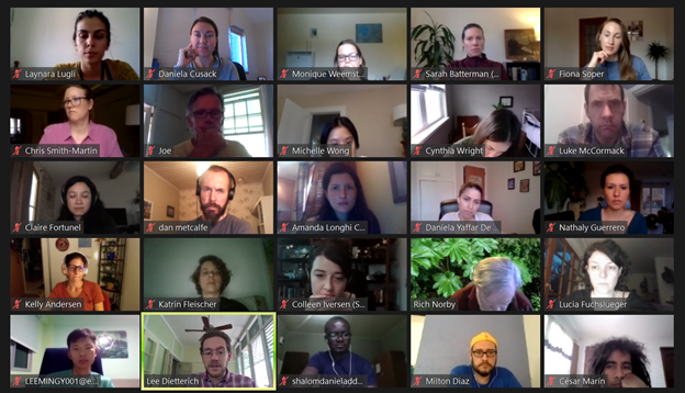 Tropical Root Trait Initiative